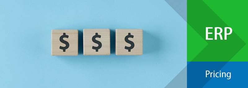 ERP Pricing in 2025: How Much Does a New ERP System Cost? – Software ...